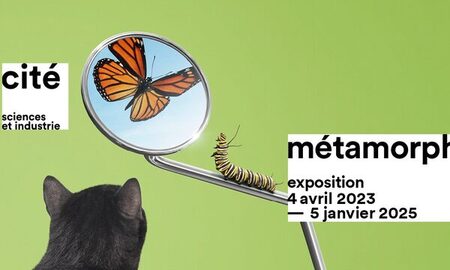 Exhibitions in Paris in January 2025 • Come to Paris