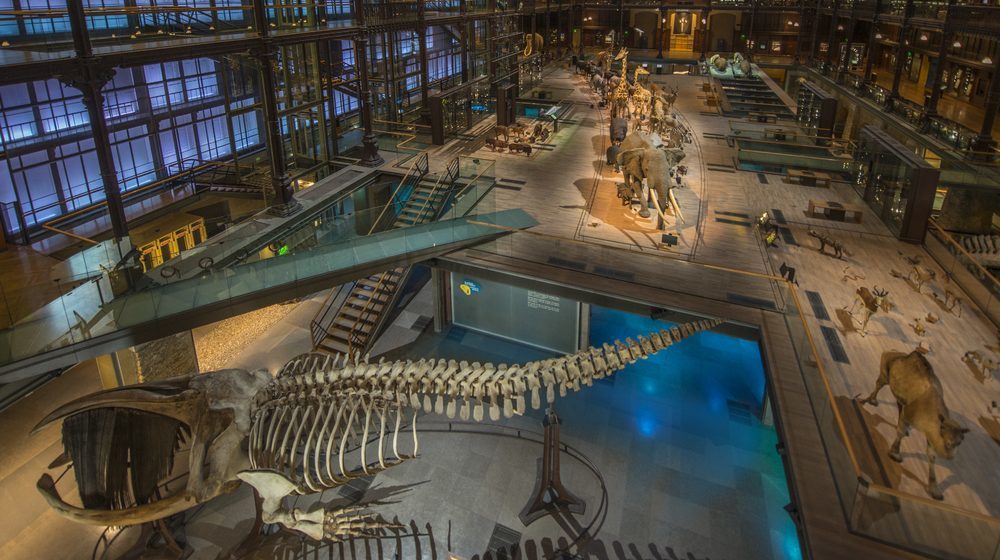 Grande Galerie de l'Evolution de Paris • Information, Opening hours and ...