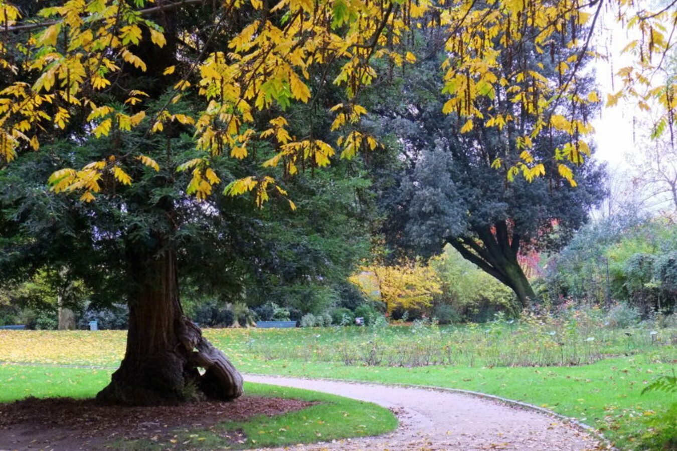Illuminazioni del parco floreale a Parigi: tutto da sapere