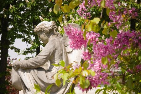 The famous cemeteries of Paris that you must absolutely visit