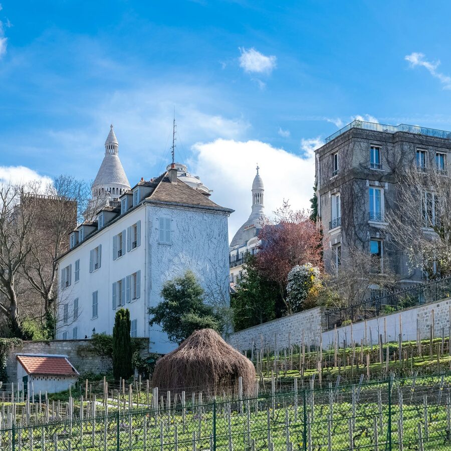 Activities in Paris May 2025: Ultimate Guide to Outings & Events • Come ...