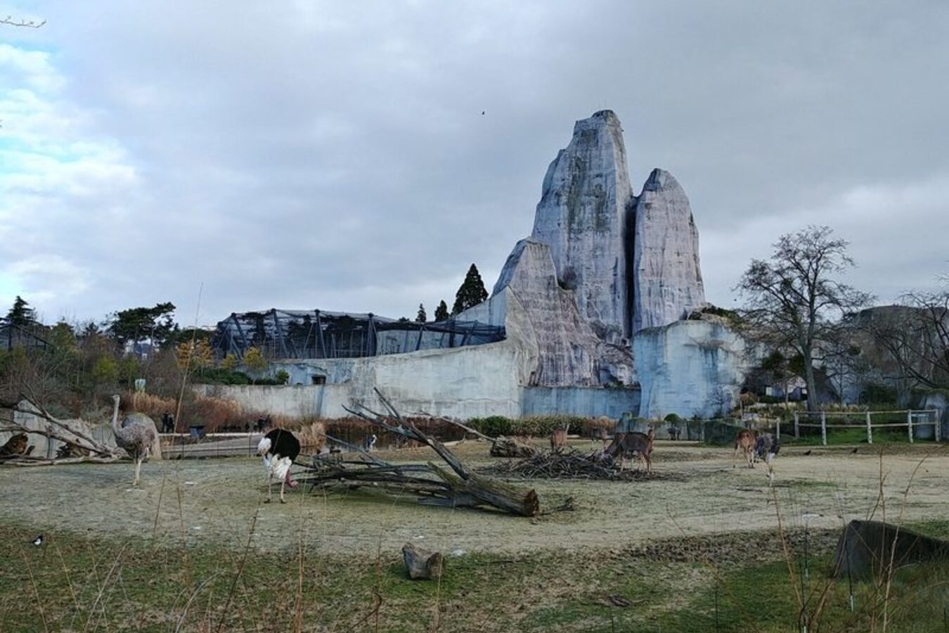 Parc de Vincennes : Activités, Accès et Découverte