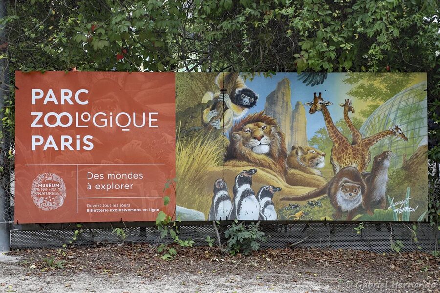 Parc de Vincennes : Activités, Accès et Découverte