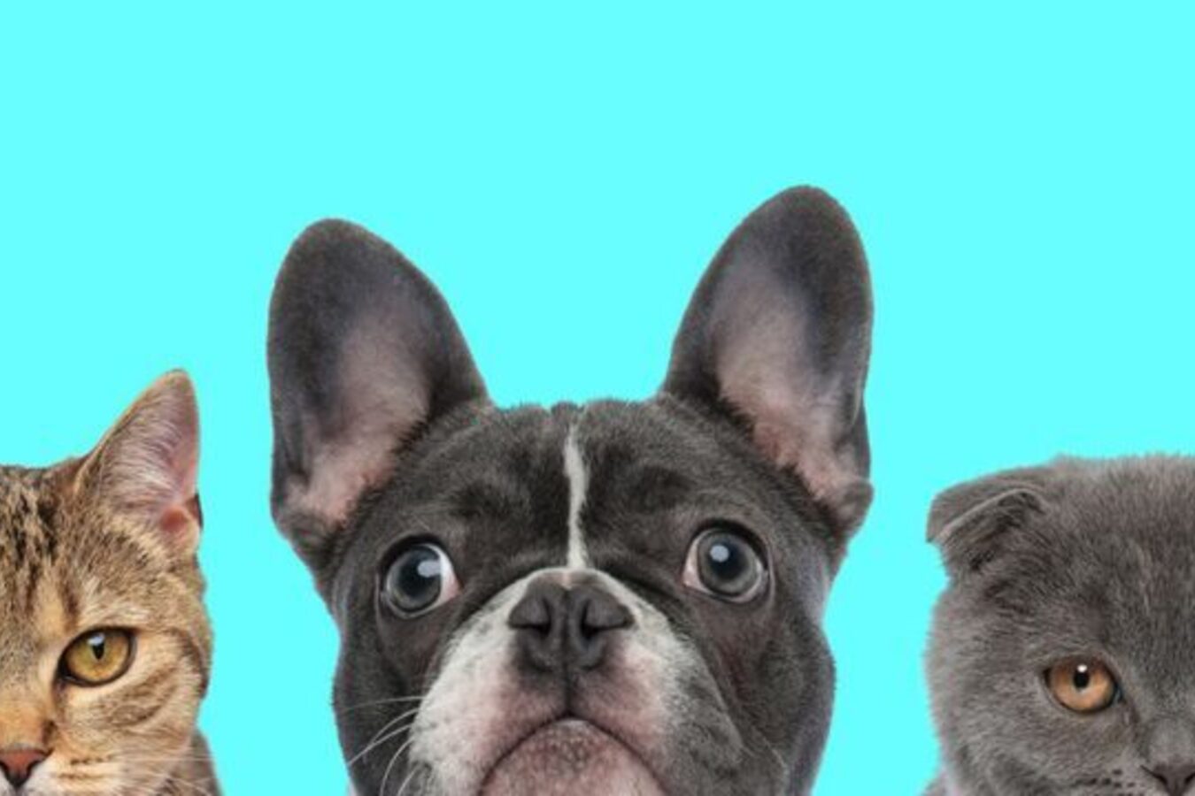 Activities Paris June 2026: Ultimate Guide to Outings & Events • Come ...