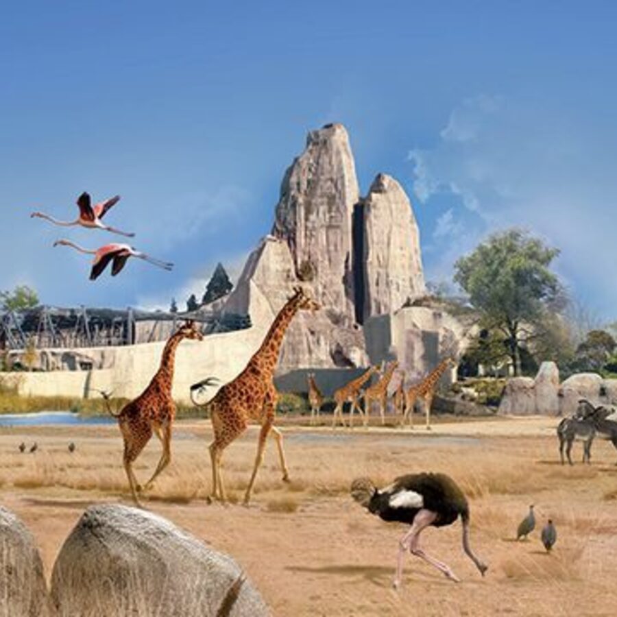 Parc de Vincennes : Activités, Accès et Découverte