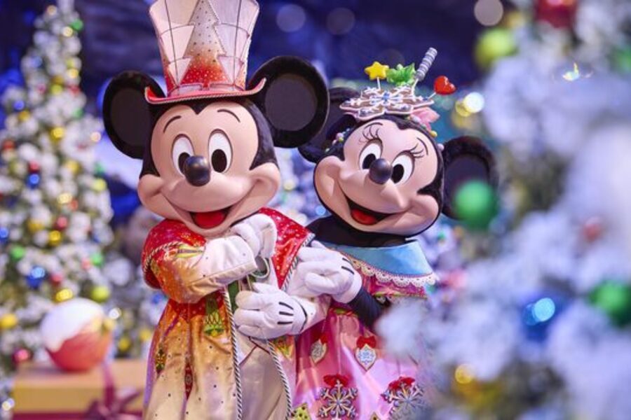 Tarif du RER entre Paris Centre et Disneyland® Marne La Vallée