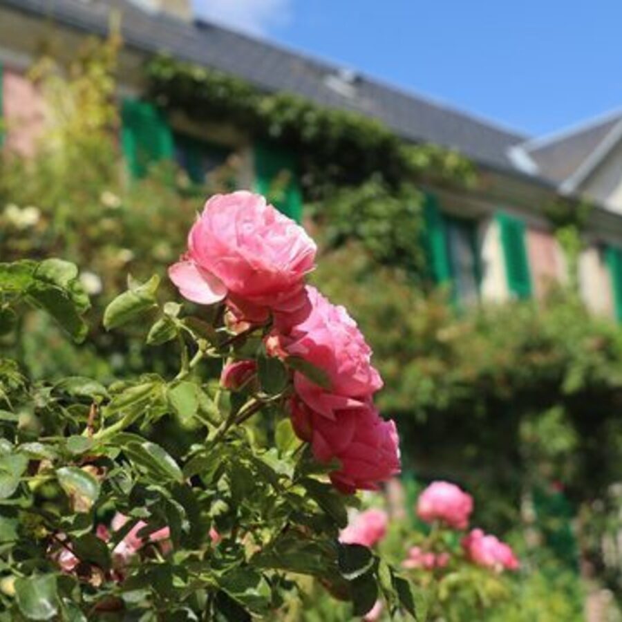 Que faire à Paris quand il fait beau ? Activités en plein air