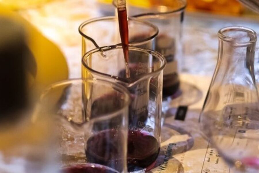 Actividades en París mayo 2026: Guía definitiva de salidas y eventos